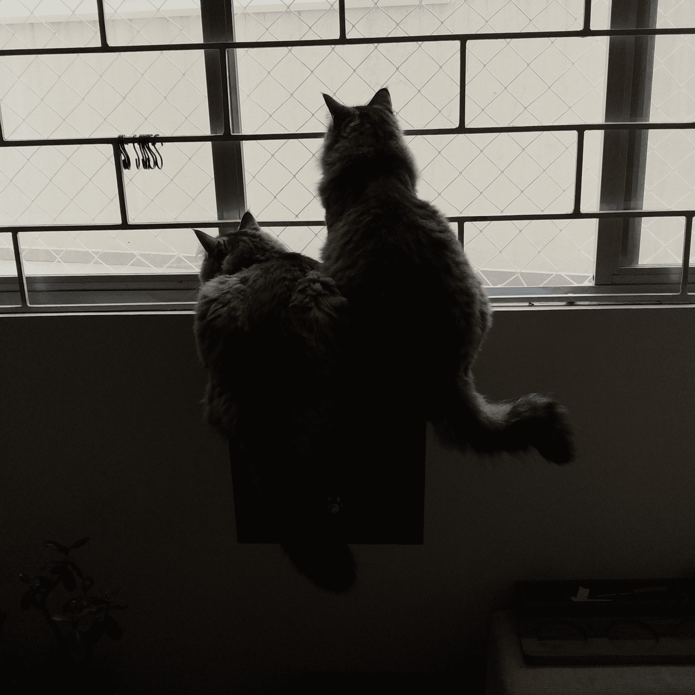 GILBERTO AI Voice Generator | Jammable AI Covers