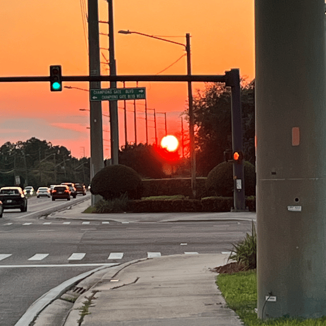 Amelia AI Voice Generator | Jammable AI Covers