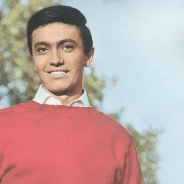 Rex Gildo 60s AI Voice Generator | Jammable AI Covers